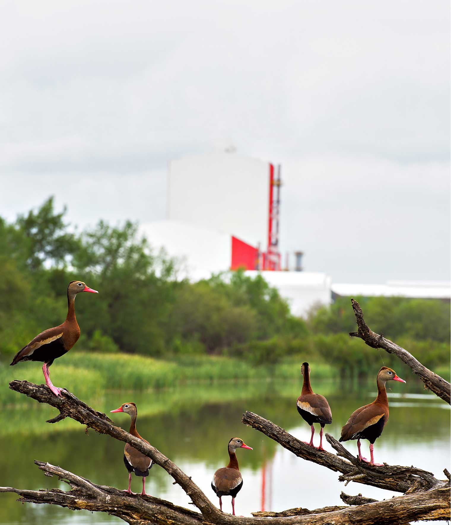 Ternium anuncia plan para reducir en 20% sus emisiones de CO2 en 2030