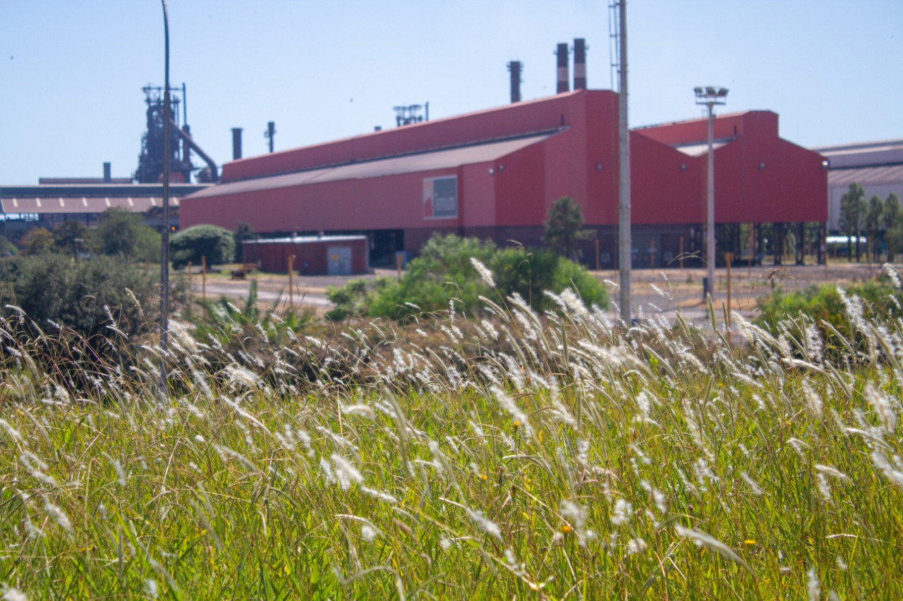 Ternium anuncia un plan de inversiones ambientales de USD 500 millones